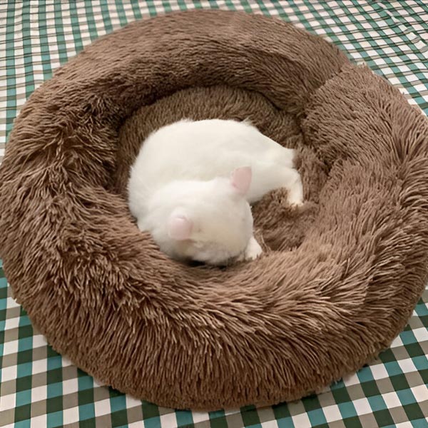 Postelja za pse in mačke | COMFYDEN – Toprabat.si